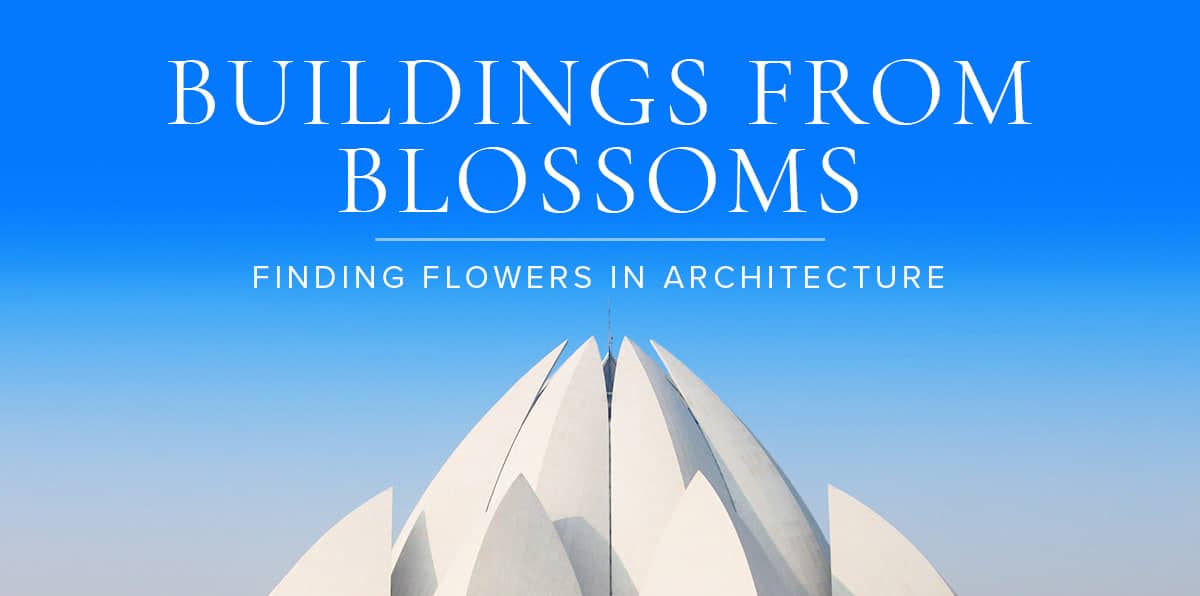Paying Homage to the Flower in Architecture - Gordon Boswell